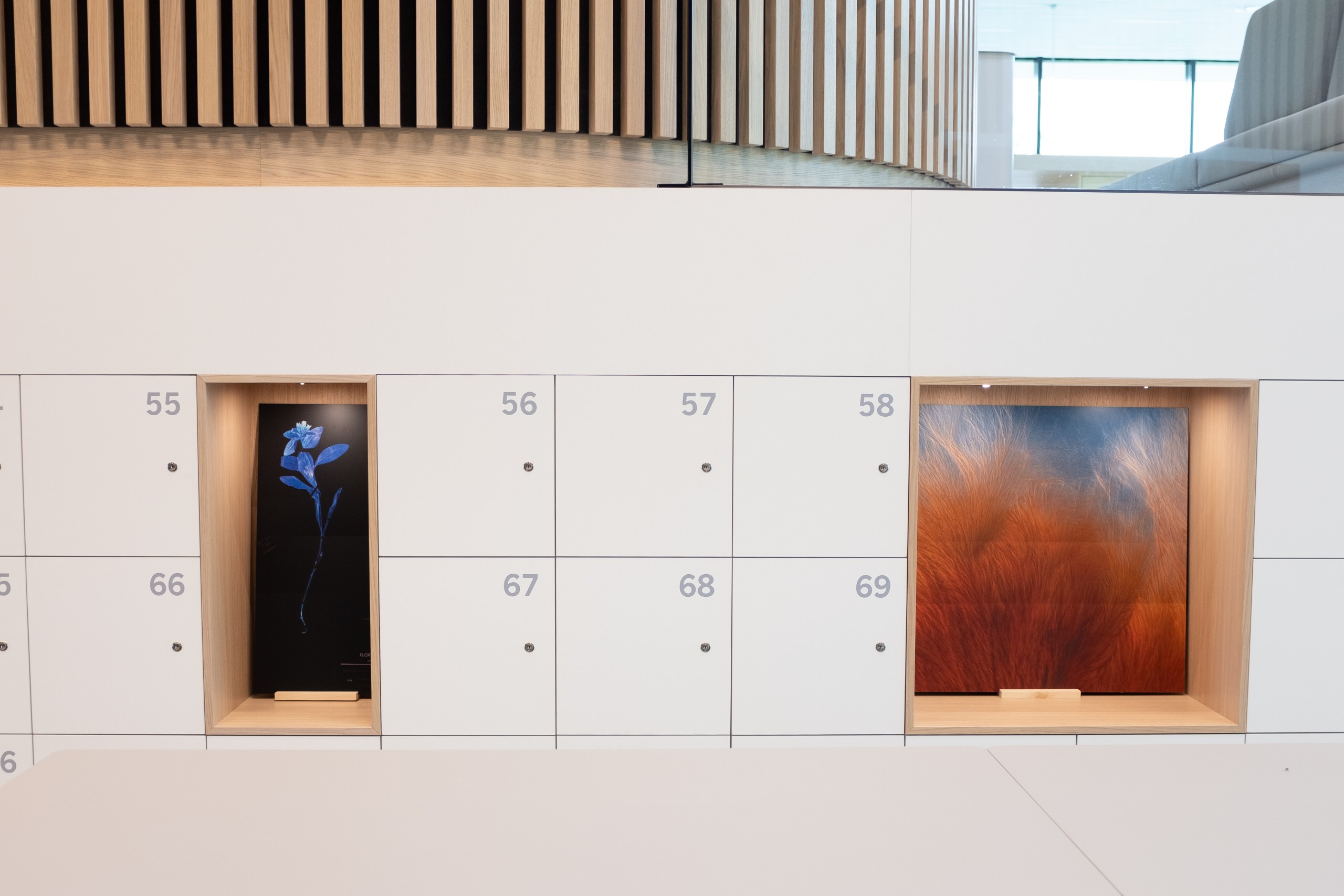 Future of Nature exhibition - Louisiana van Onna